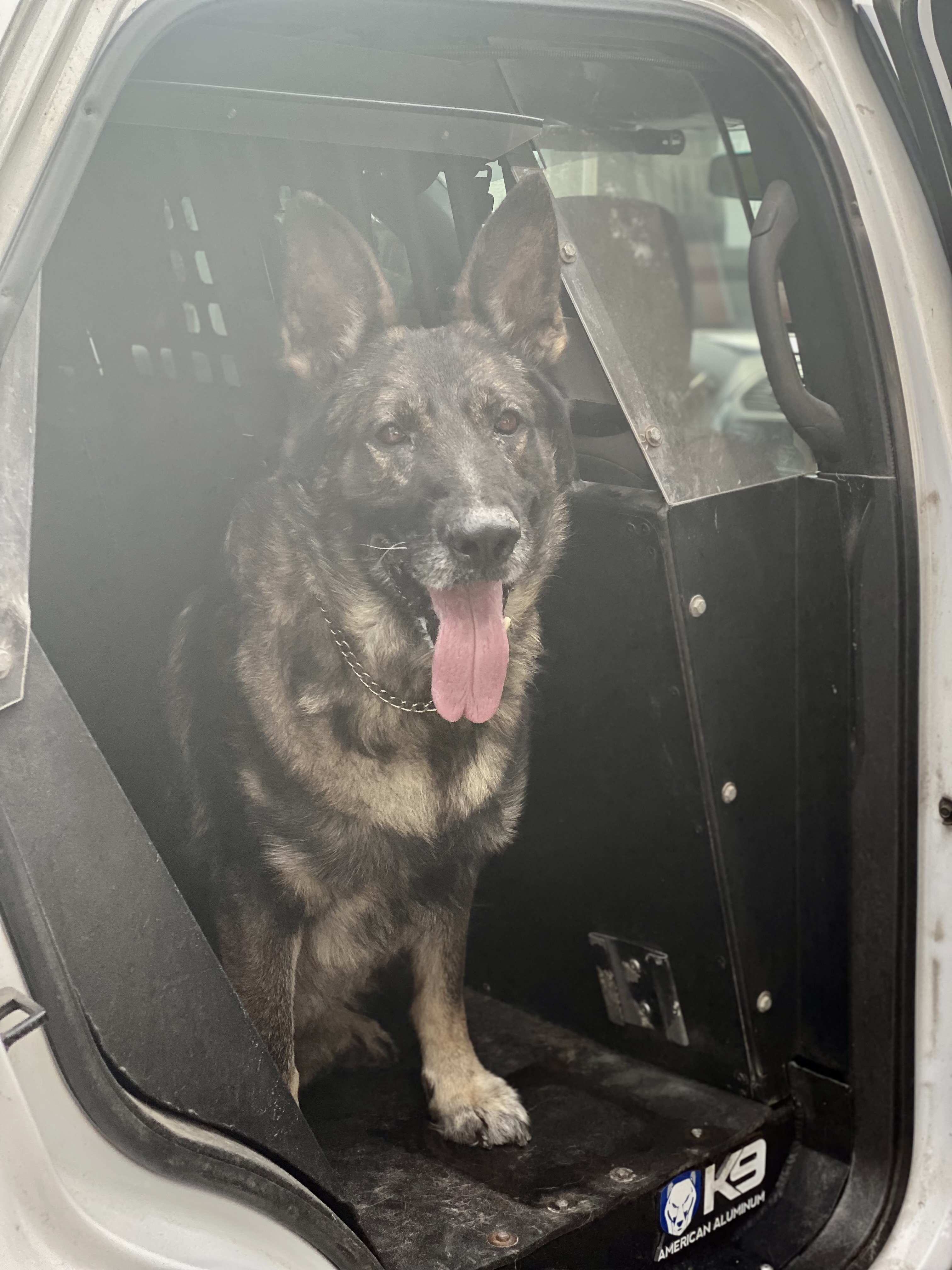 Help Our Military and Police Dogs