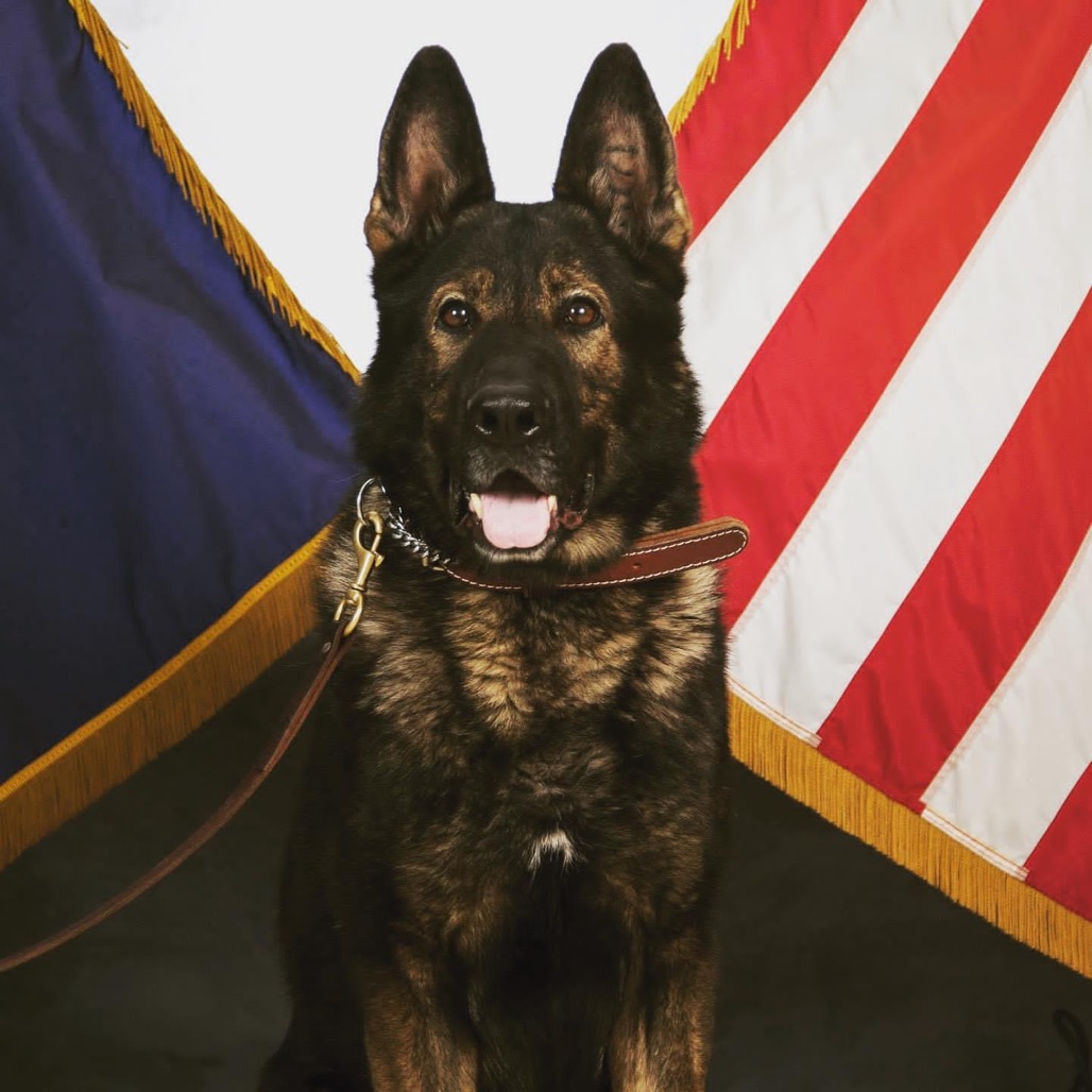 Help Our Military and Police Dogs